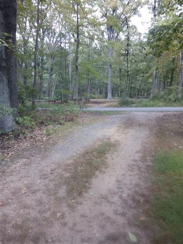 Cheesequake State Park, Campground, Matawan, New Jersey | Womo-Abenteuer