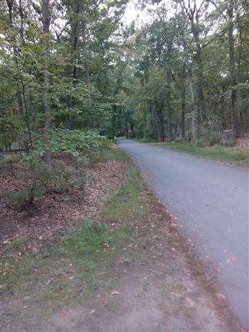 Cheesequake State Park, Campground, Matawan, New Jersey | Womo-Abenteuer