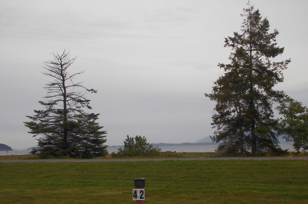 Swinomish RV Park, Campground, Anacortes, Washington | Womo-Abenteuer